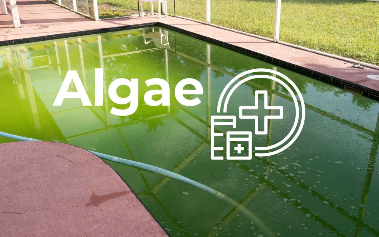 Effective Algae Control for a Crystal Clear Pool
